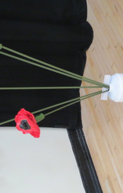Spring Art Competition - ISC