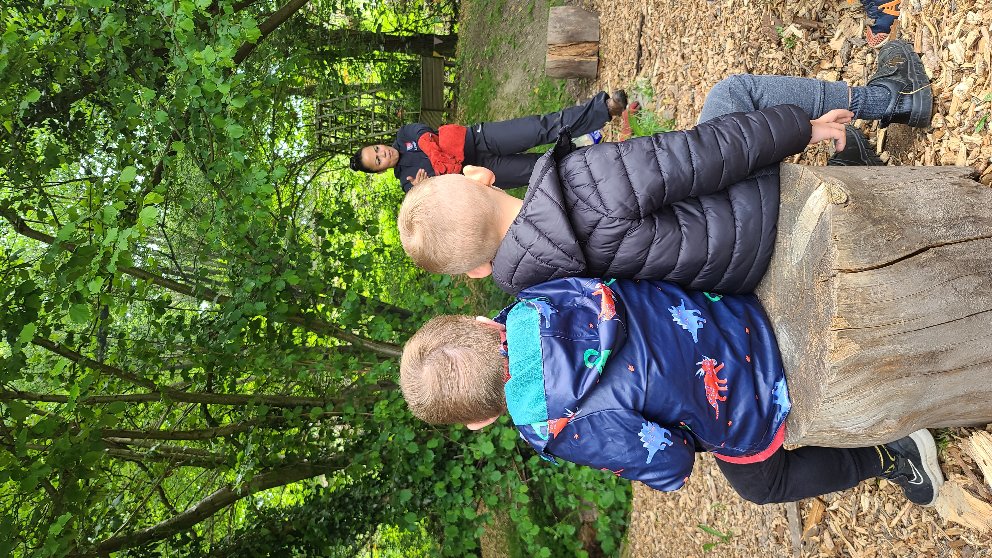 Dormansland Primary and Lingfield College - Schools Together