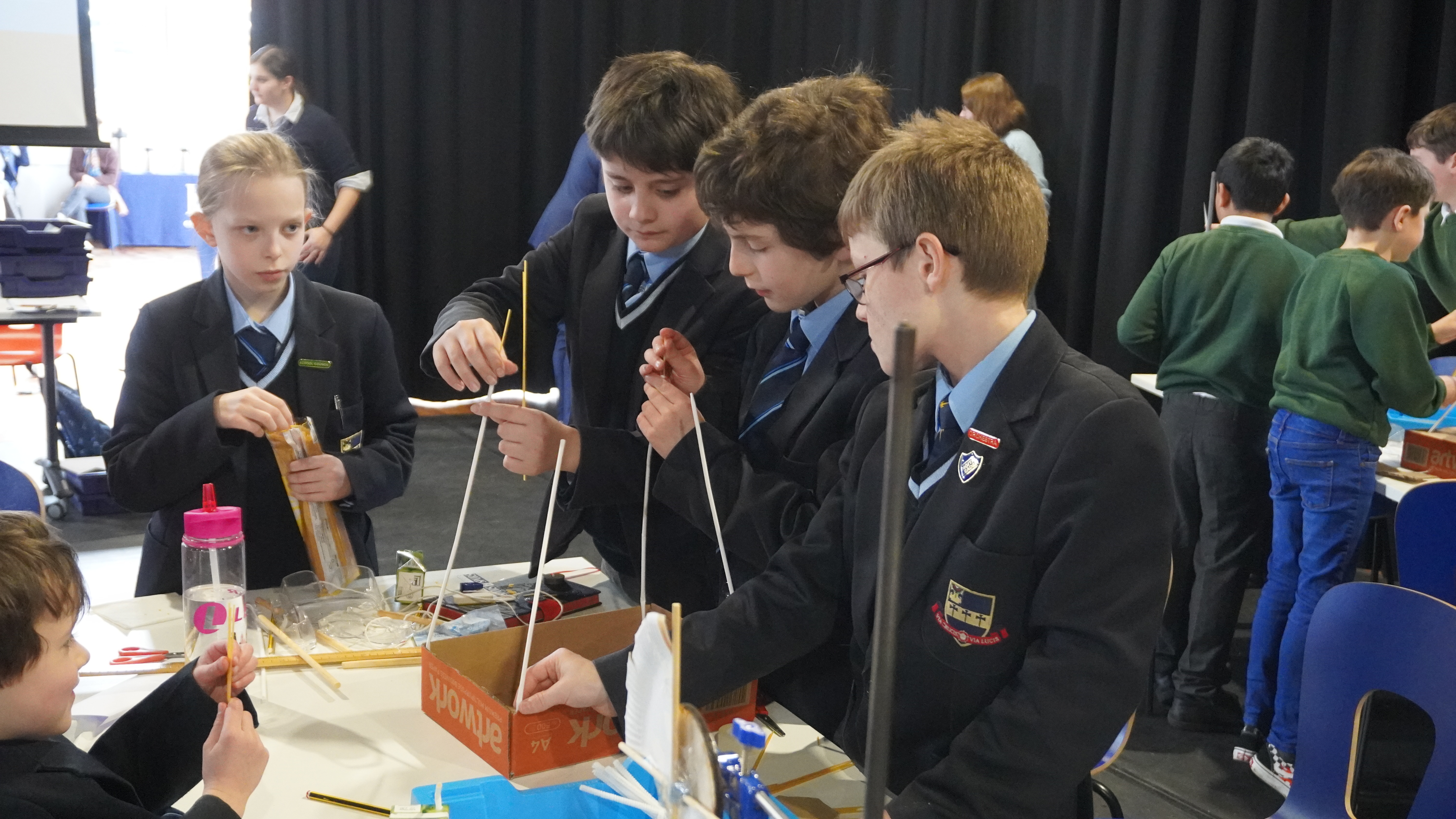 Primary Schools Science and Engineering Challenge - Schools Together